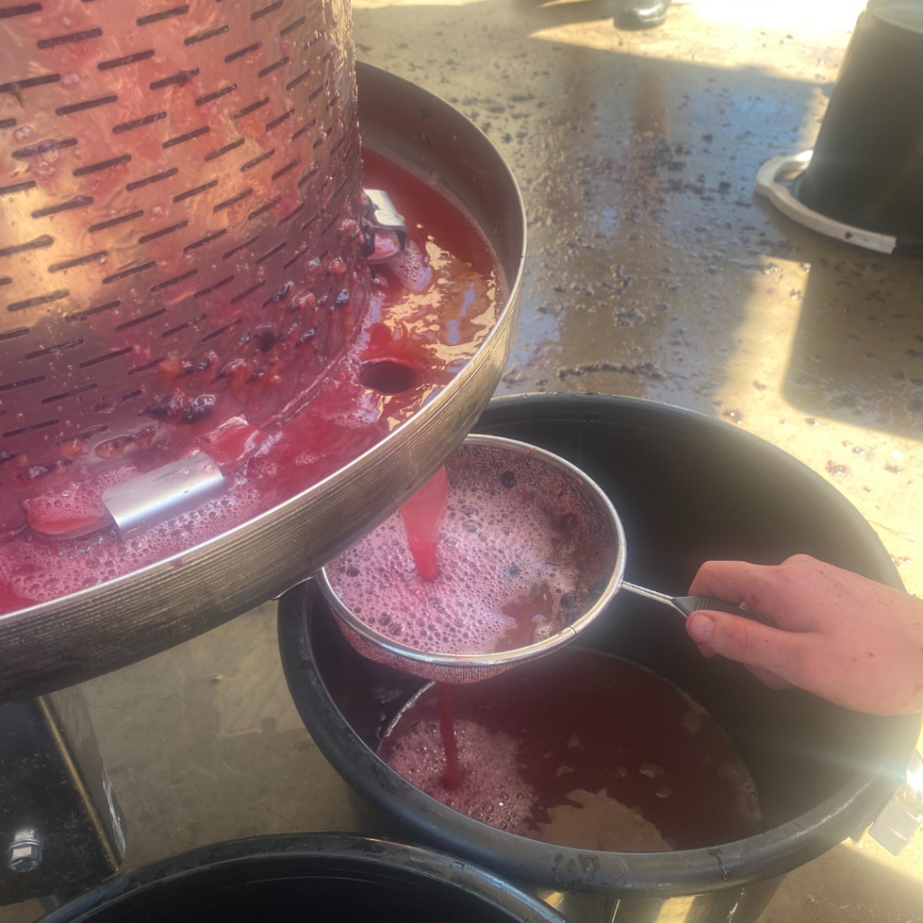 Willunga High School